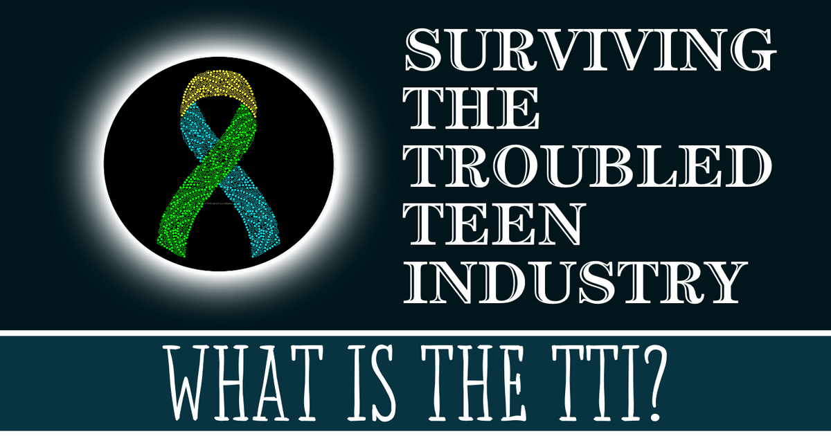 Education: An Introduction to the Troubled Teen Industry